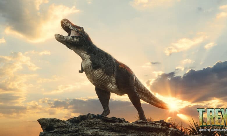 Jóvenes Cazadores De Fósiles Descubren Un Raro T. Rex Adolescente